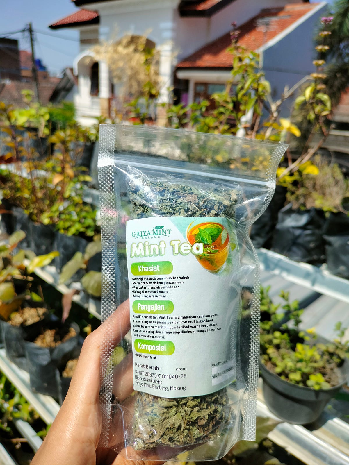 🍵🌿 Selamat hari! Kami dari Griya Mint Malang sangat senang ...