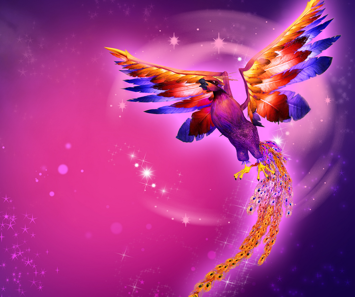 Phoenix Rise. It’s okay to fall. Just be sure to get… | by Scott Hughey ...