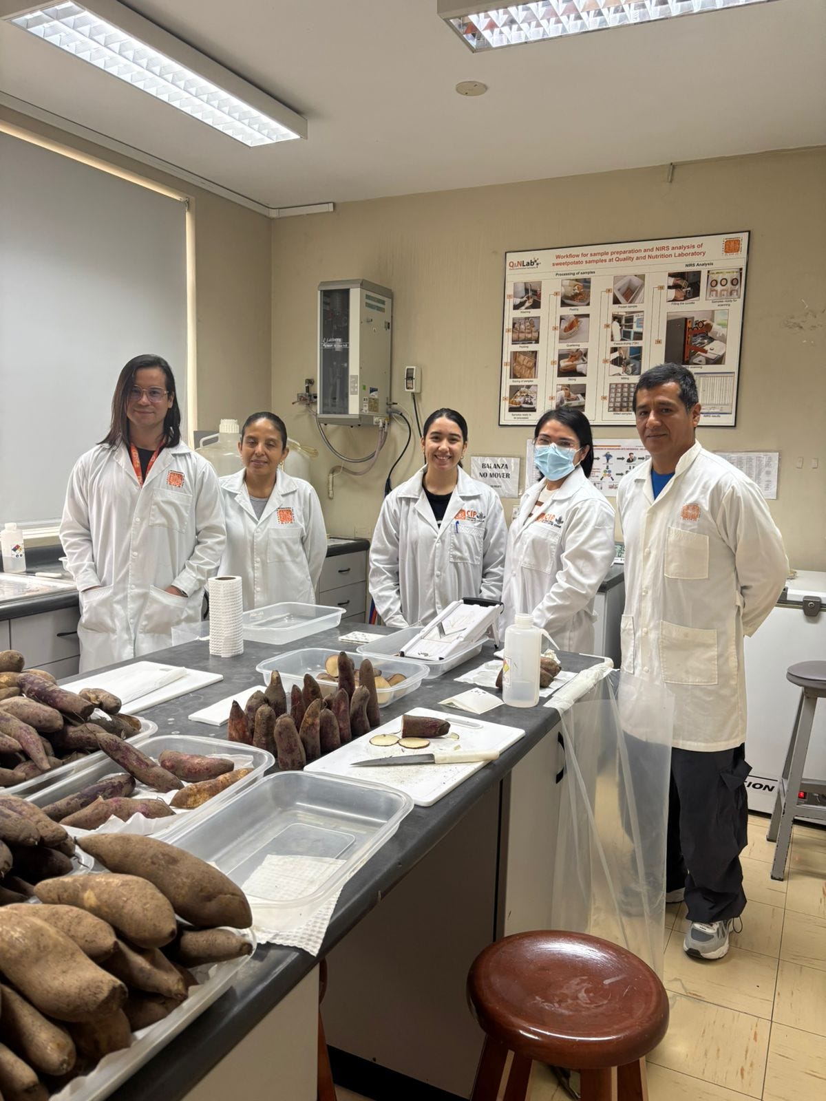Week three at CIP/The beauty of Science | by Mariana Alvarenga | Jul ...