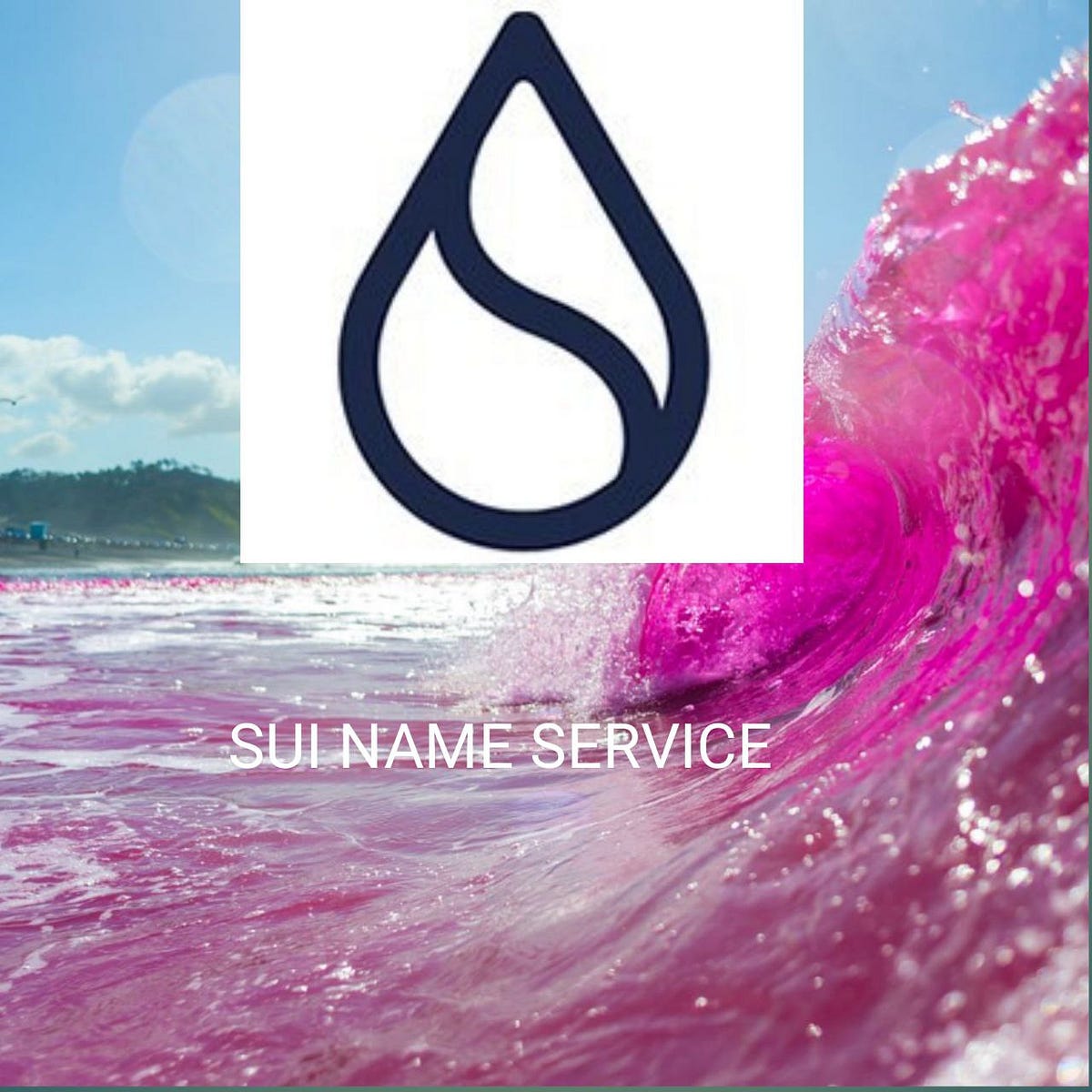 Sui Name Sevice SNS eliminates the need for a centralized entity to ...