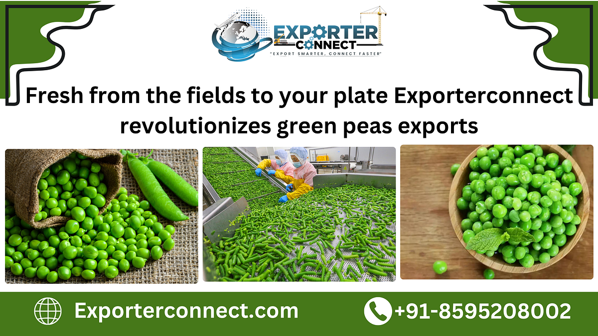 Green Peas Supplier and Manufacturer | by Exporter Connect® -Online B2B ...