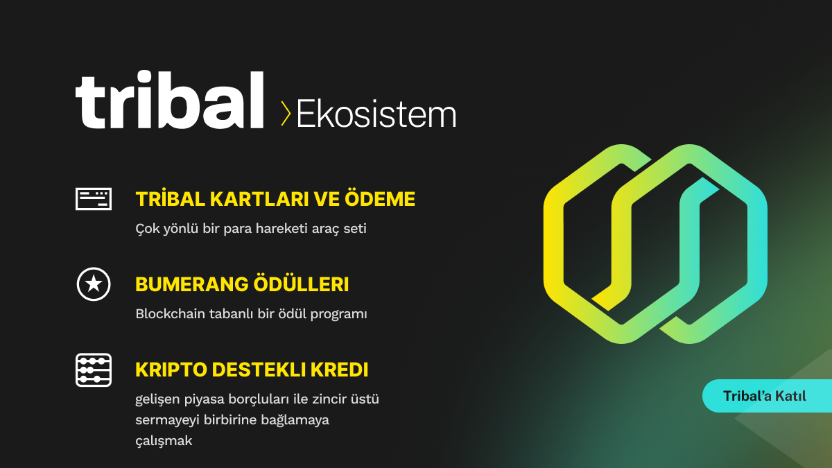 Tribal Credit Hakkında. Tribal Hikayesi | by Ergün | Medium
