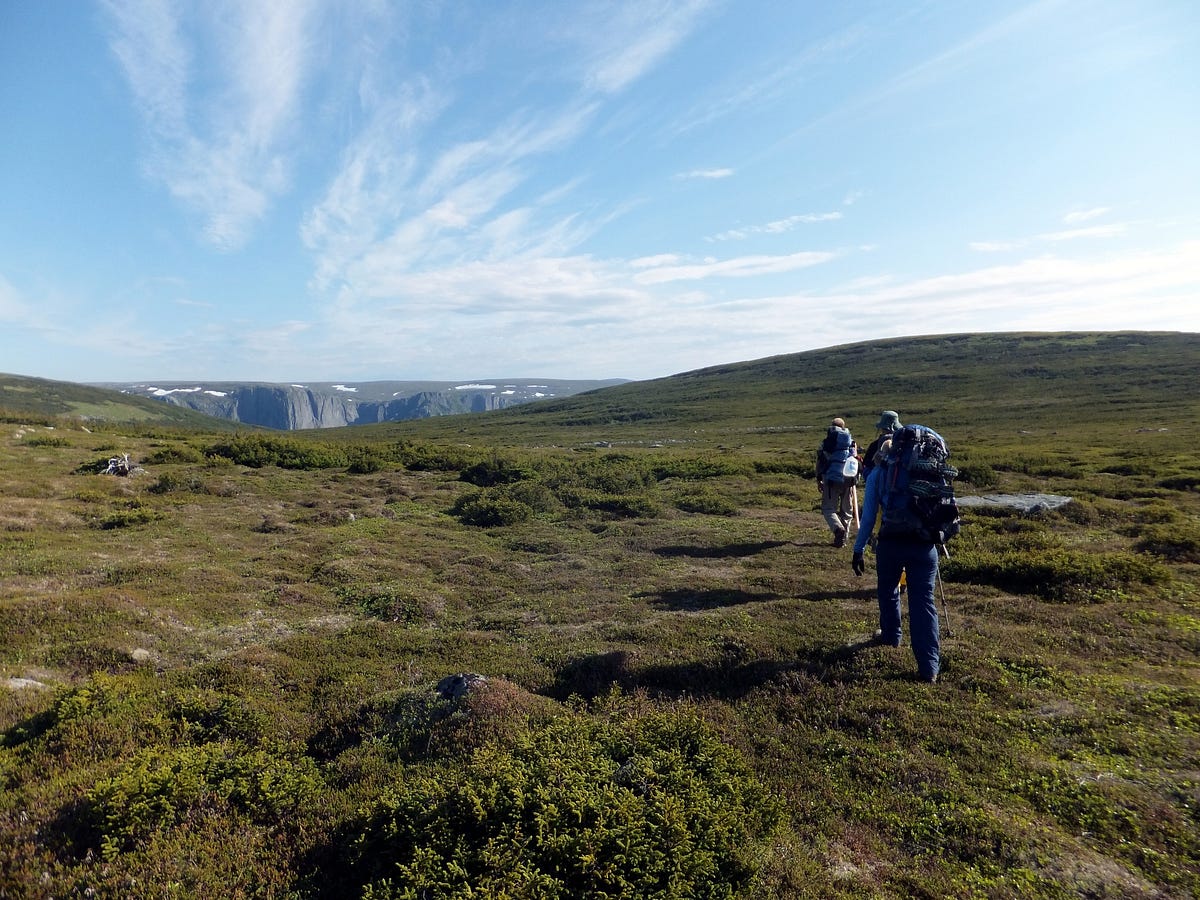 Get to know the Jewel of Newfoundland | by TStreet Media | Drifter ...
