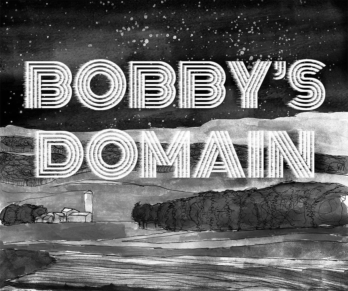 BOBBY’S DOMAIN. At that time, sinkholes were a big… | by William ...