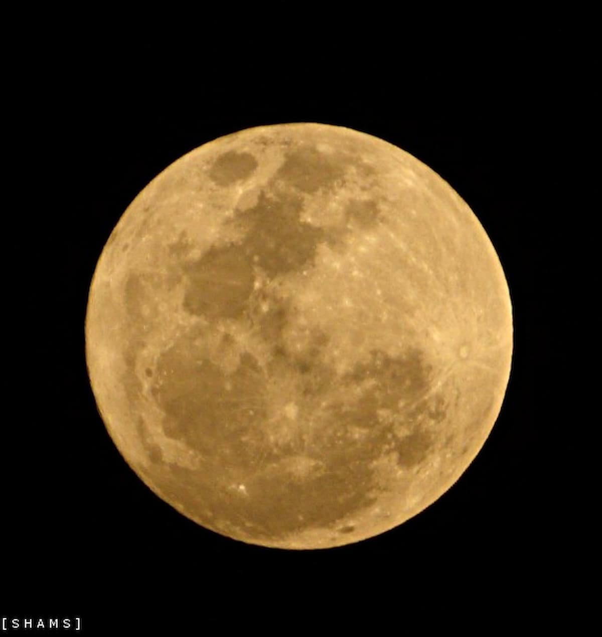 Rebel Moon Revealed:the best top 10 Unknown Facts About the Upcoming ...