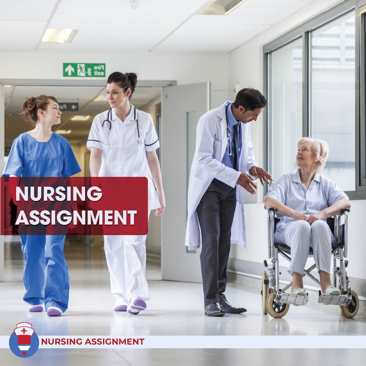 Different Kinds Of Nursing Theories | by Haris | Medium