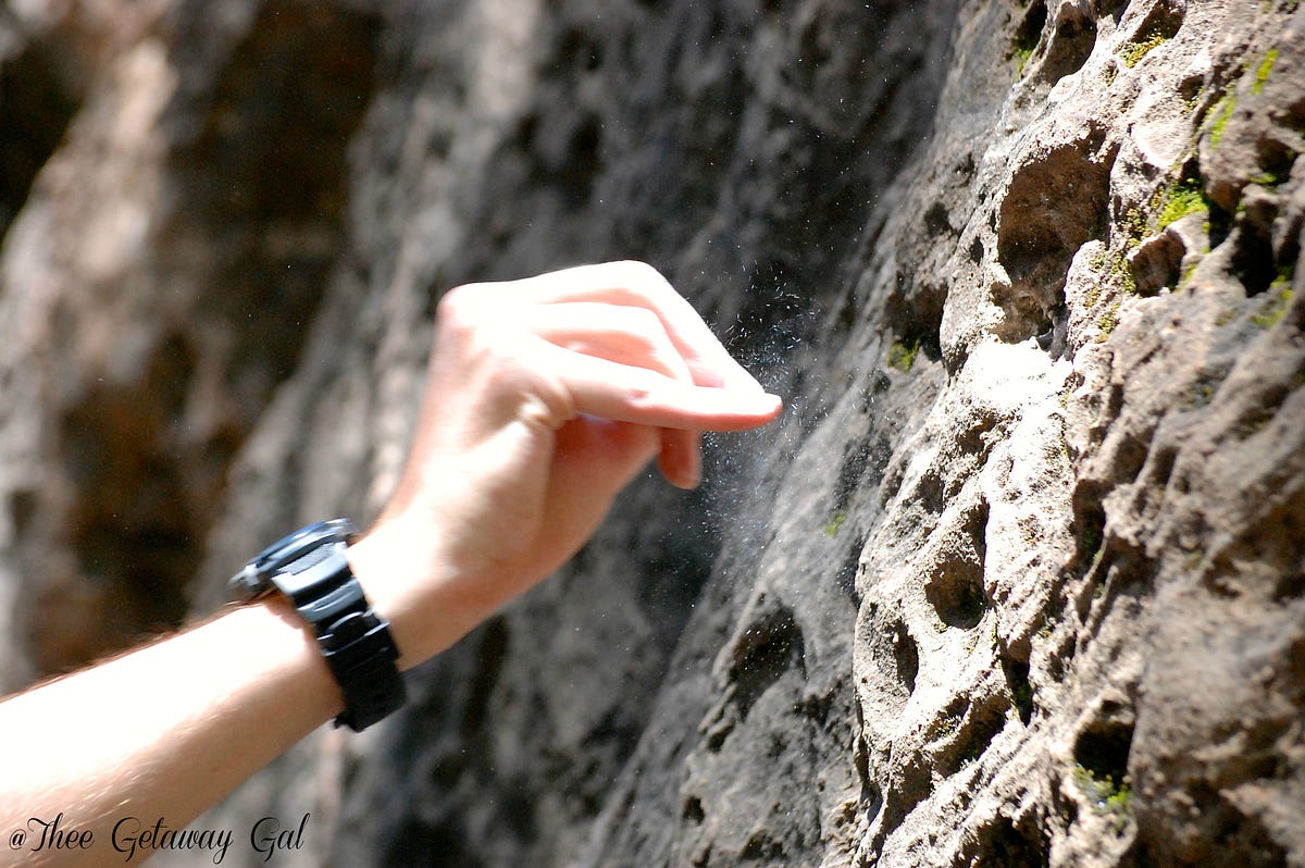 Snapshot Saturday: Passion. This Saturday’s featured snapshot is a ...