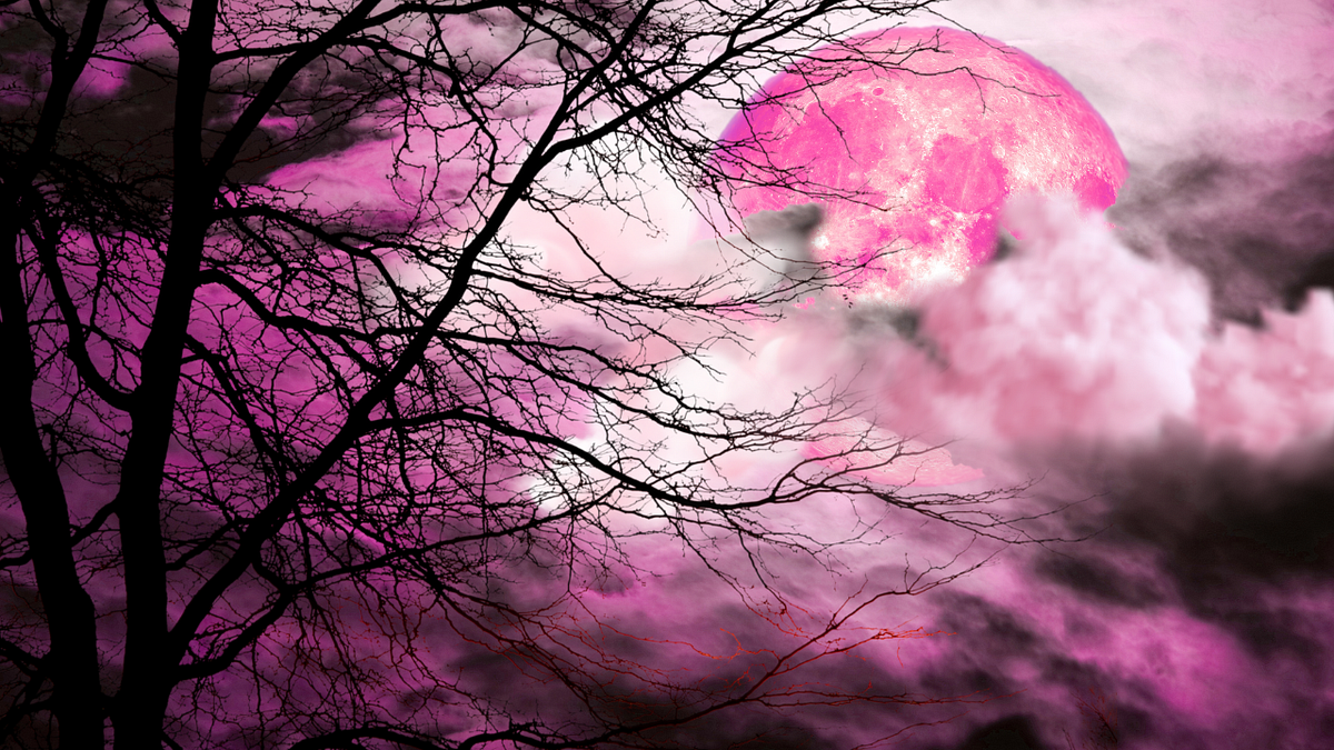 Moonology- April “Pink” Full Moon in Libra | by jules - Miz Mindful ...