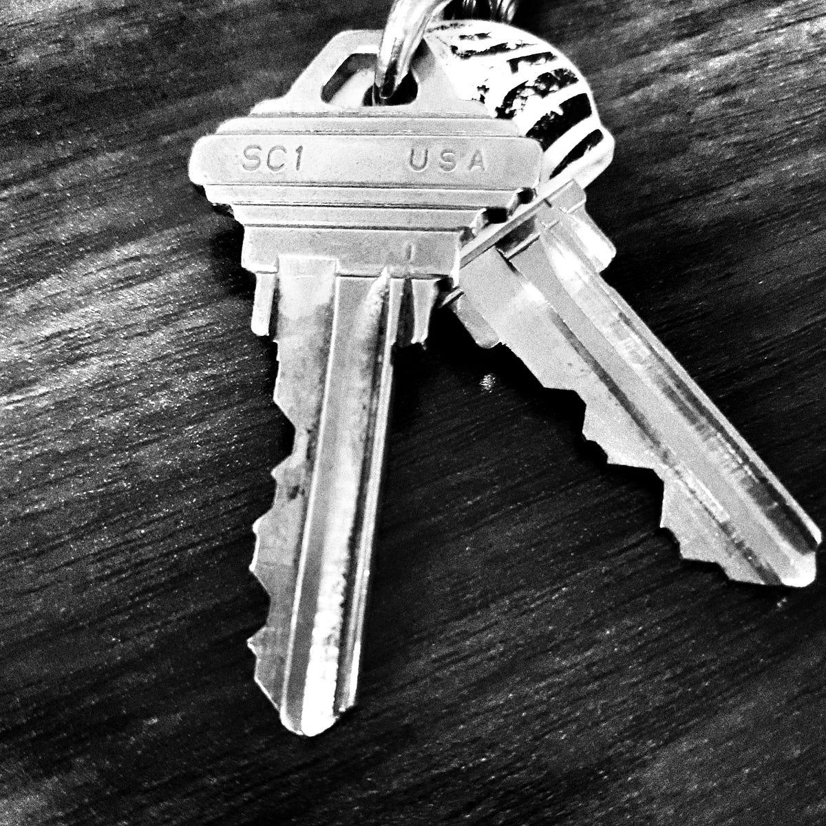 Day 10/365. The keys to your success lies in you… | by Gabriel Grove ...
