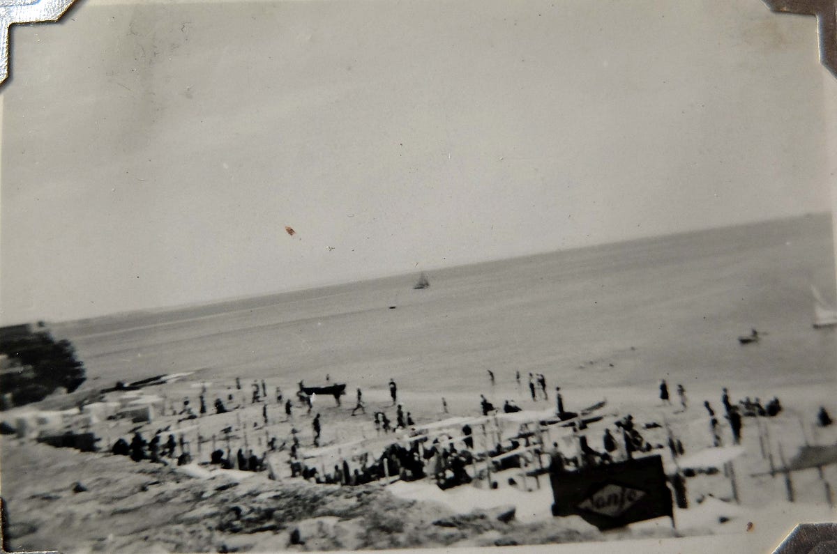 Growing up in Portugal — Part 4. Nellos’ Evil Nephew | by Louise ...