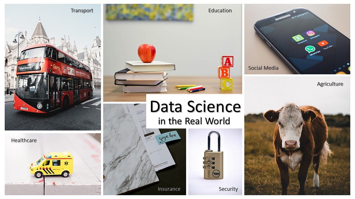 An Introduction to Data Science and Real-World Applications | by ...