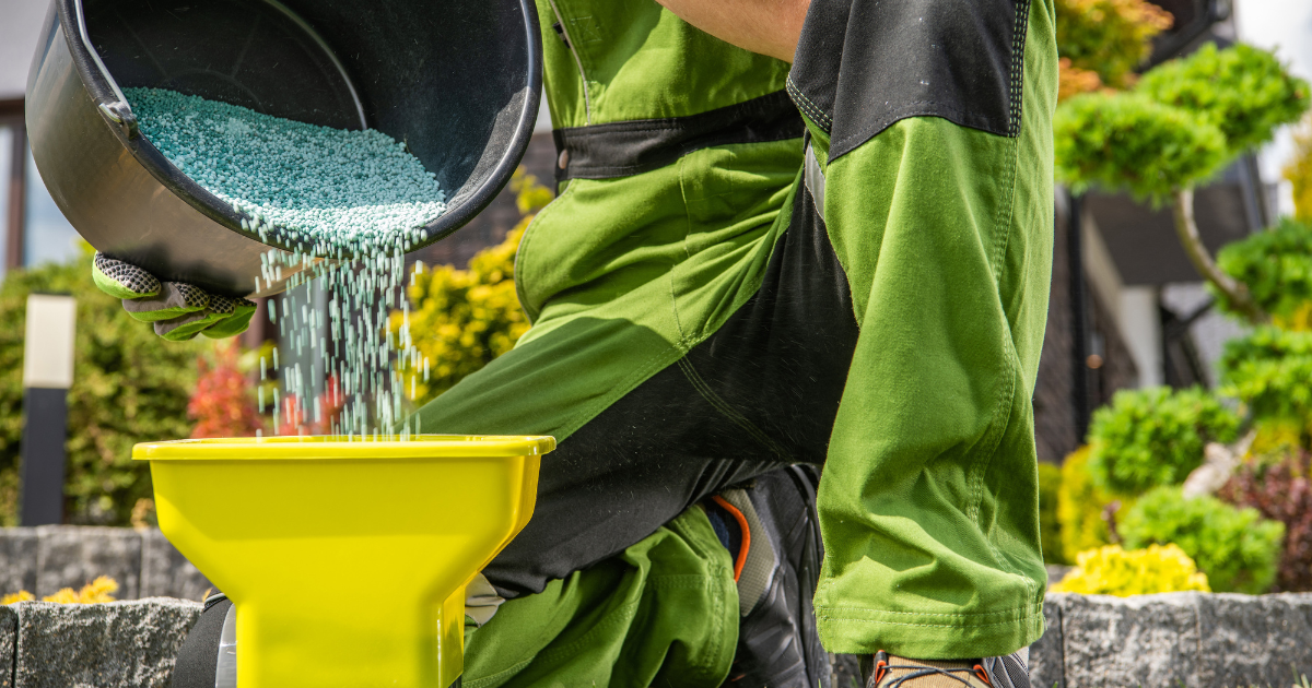 Unveiling the Benefits of Professional Lawn Fertilizer Services | Medium