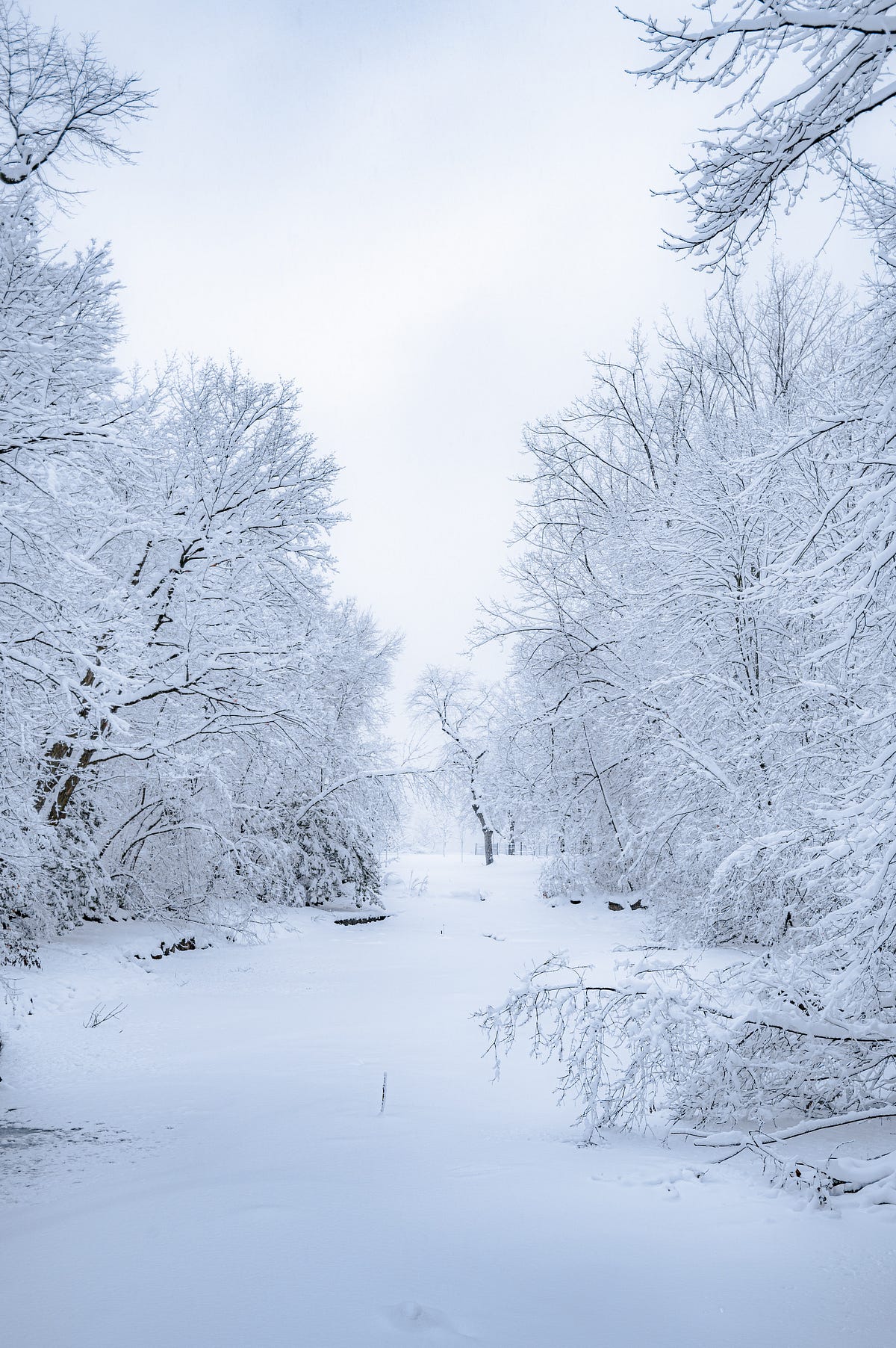 How Stochastic Parabolic Equations are used in Machine Learning part1 | by Monodeep Mukherjee ...