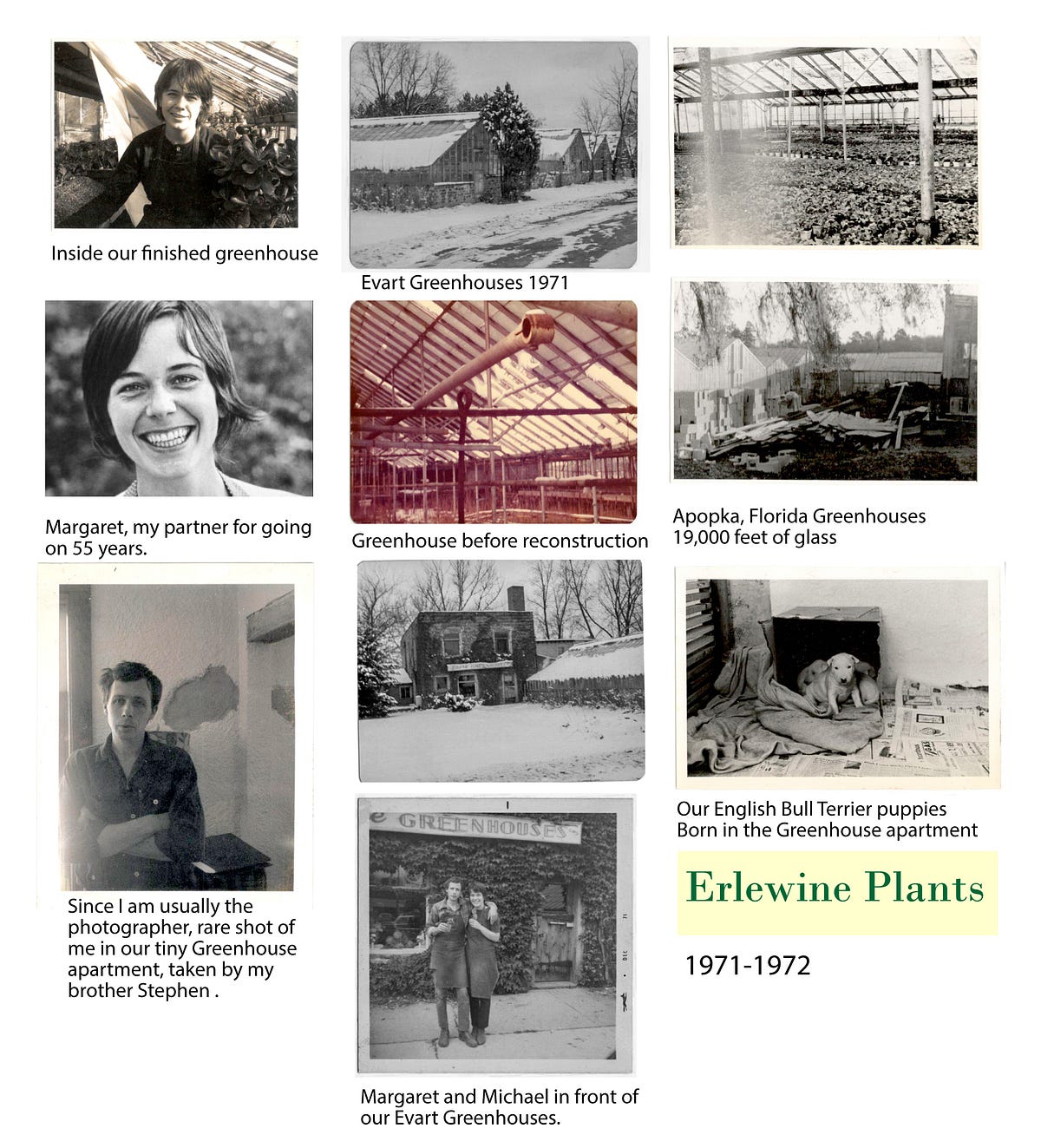 The Story of Erlewine Plants. By Michael Erlewine | by Michael Erlewine ...