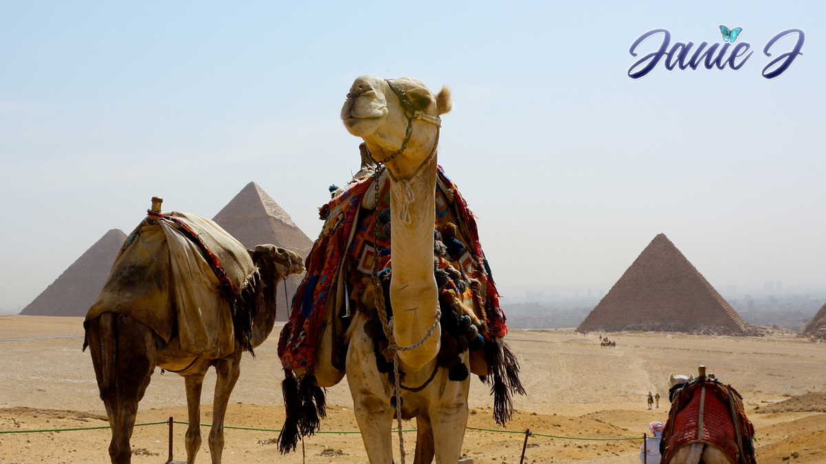 What is the most exotic place you have ever been? | by Janie Jurkovich ...
