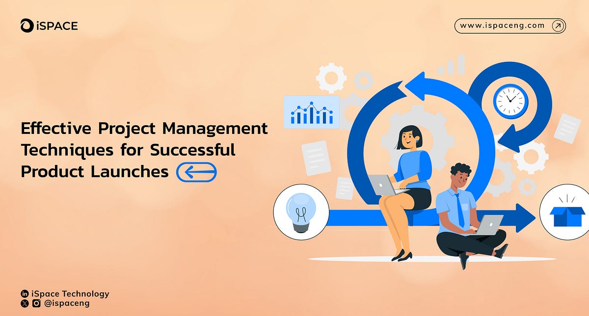 Effective Project Management Techniques for Successful Product Launches ...