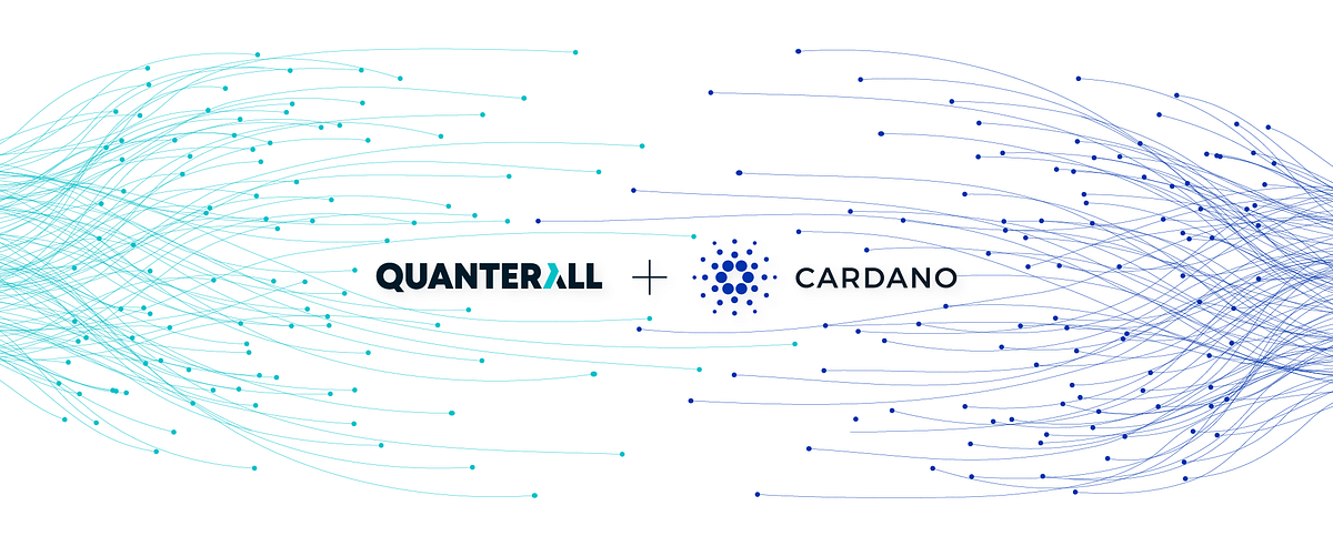 Quanterall x Cardano: Innovation Powerhouse | by Quanterall | Medium