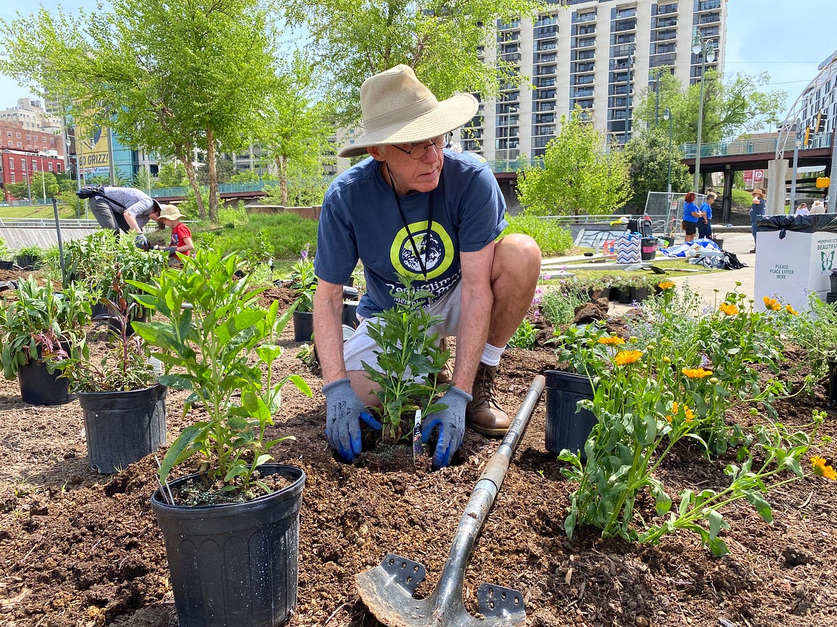 Trees as Climate Resiliency. It’s a big moment for trees. | by ...