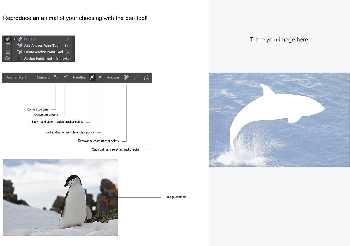 CDDF Project #4: Social/Cultural Feature: Design System | by Chieri ...