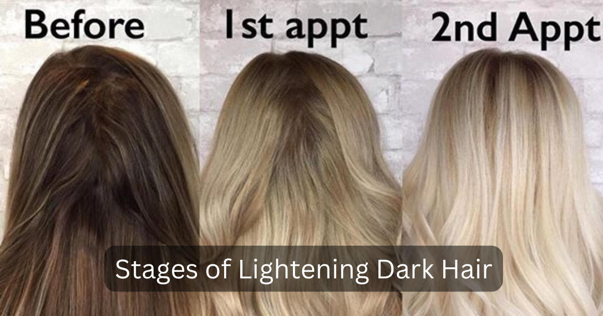 Stages of Lightening Dark Hair - Stylita - Medium