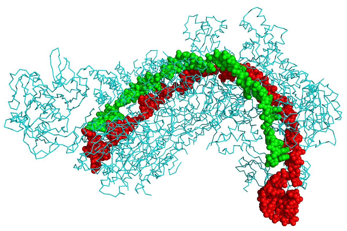 CRISPR — the cost, concerns, and future of genome editing | by Raquel ...
