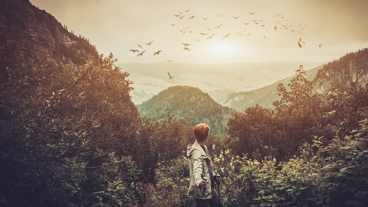Six Ways to Create a Relationship with Nature | by Elita Purcill | Medium