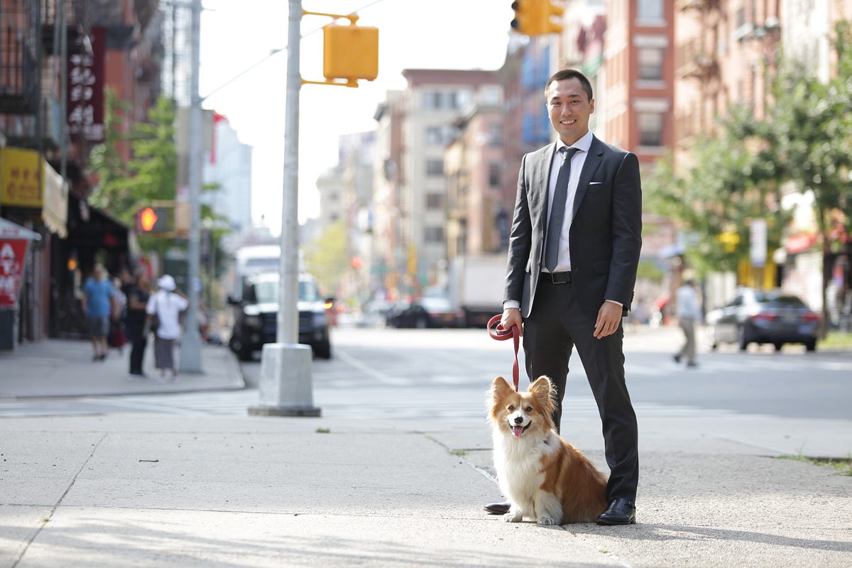 How I Became The Leader Of The New York City Corgi Meet Ups | by Eric ...