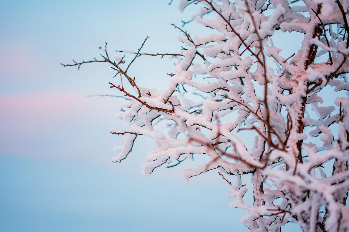 After Everything, Snow. On the Attention That Outlasts the Self | by ...