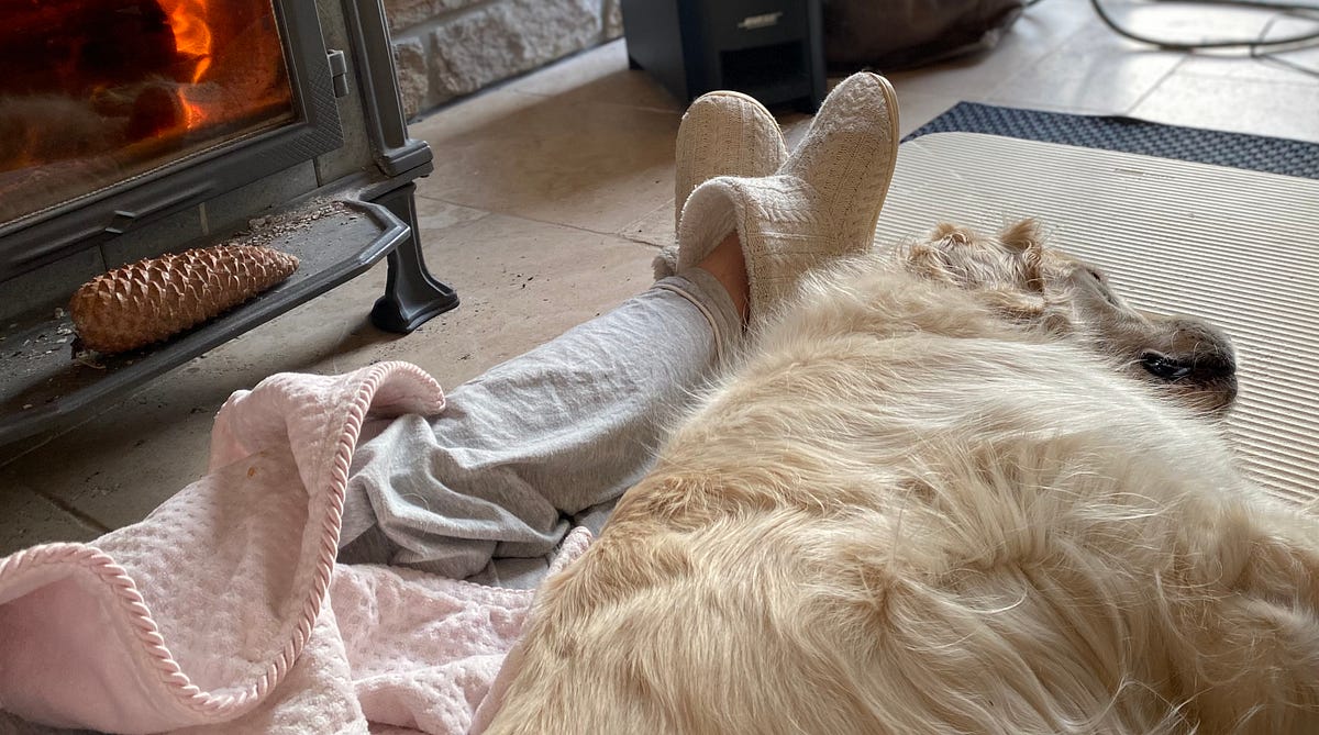 Yes, You May Lie Dormant. photo by author | by Amy Dobbs | Real | Nov ...