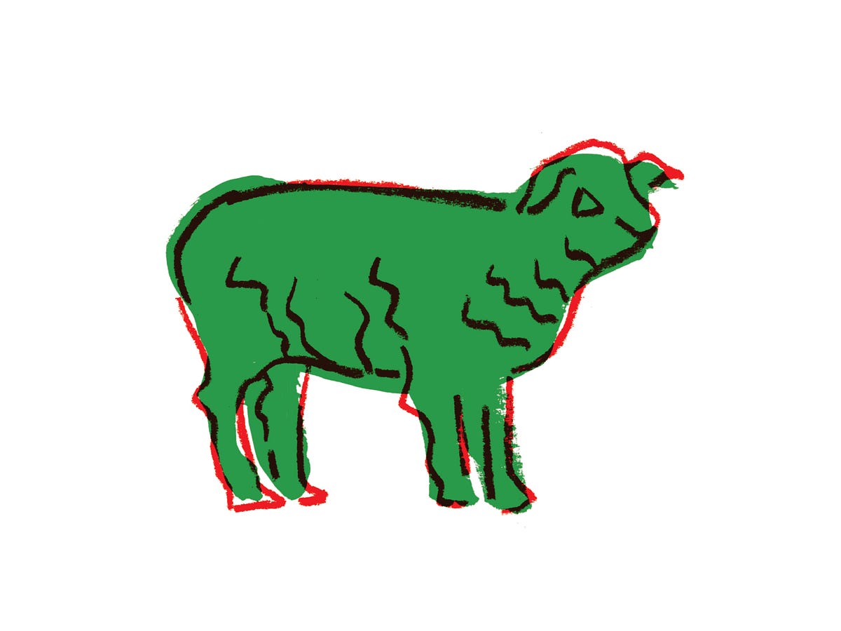 Enhancing the Learning Environment with Studio+ | by Keelin Coyle ...