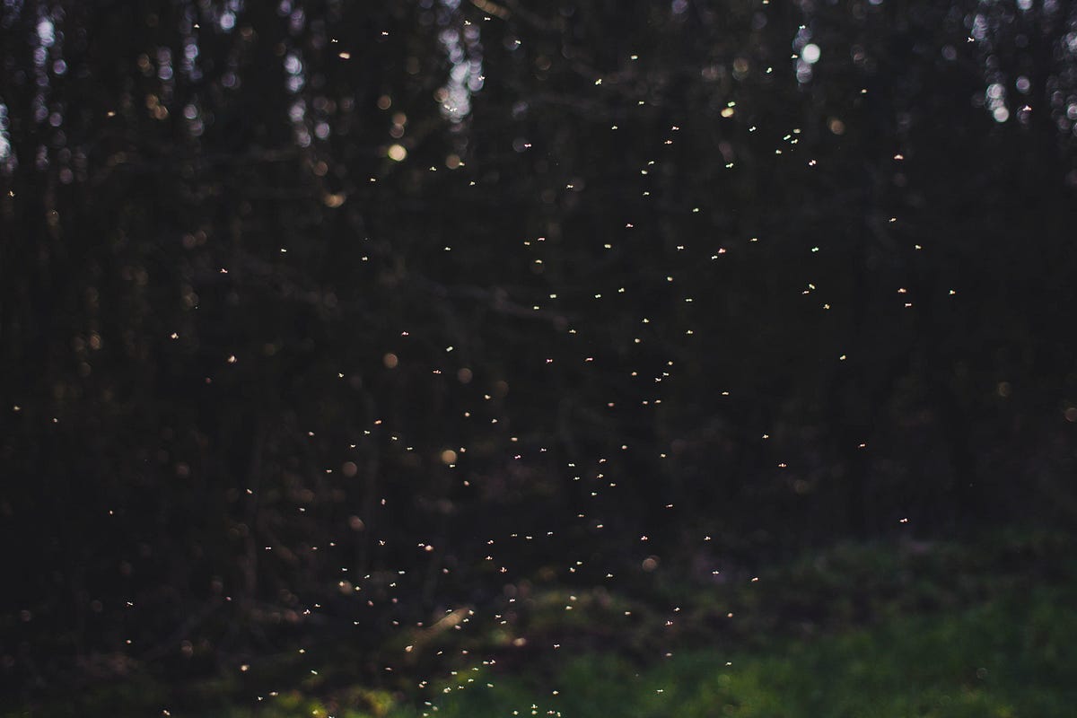 Random Poetry. An amusing ramble | by Dani Montage | Medium