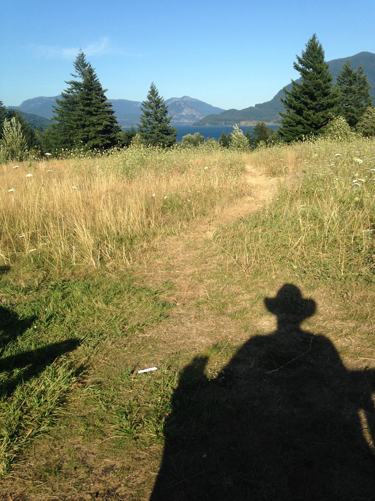 Writer’s Block. In the early morning hours, I wake to… | by Travis ...