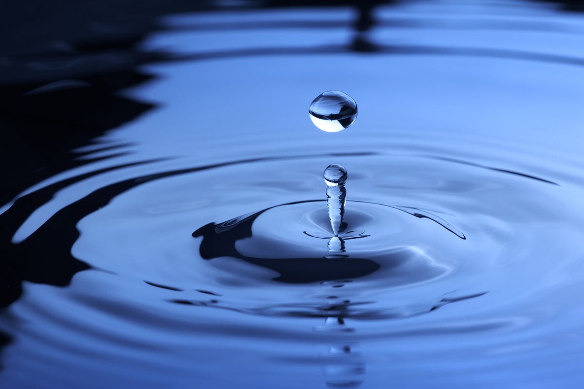 Water Ledger. Learn more about Water Ledger, the… | by Civic Ledger ...