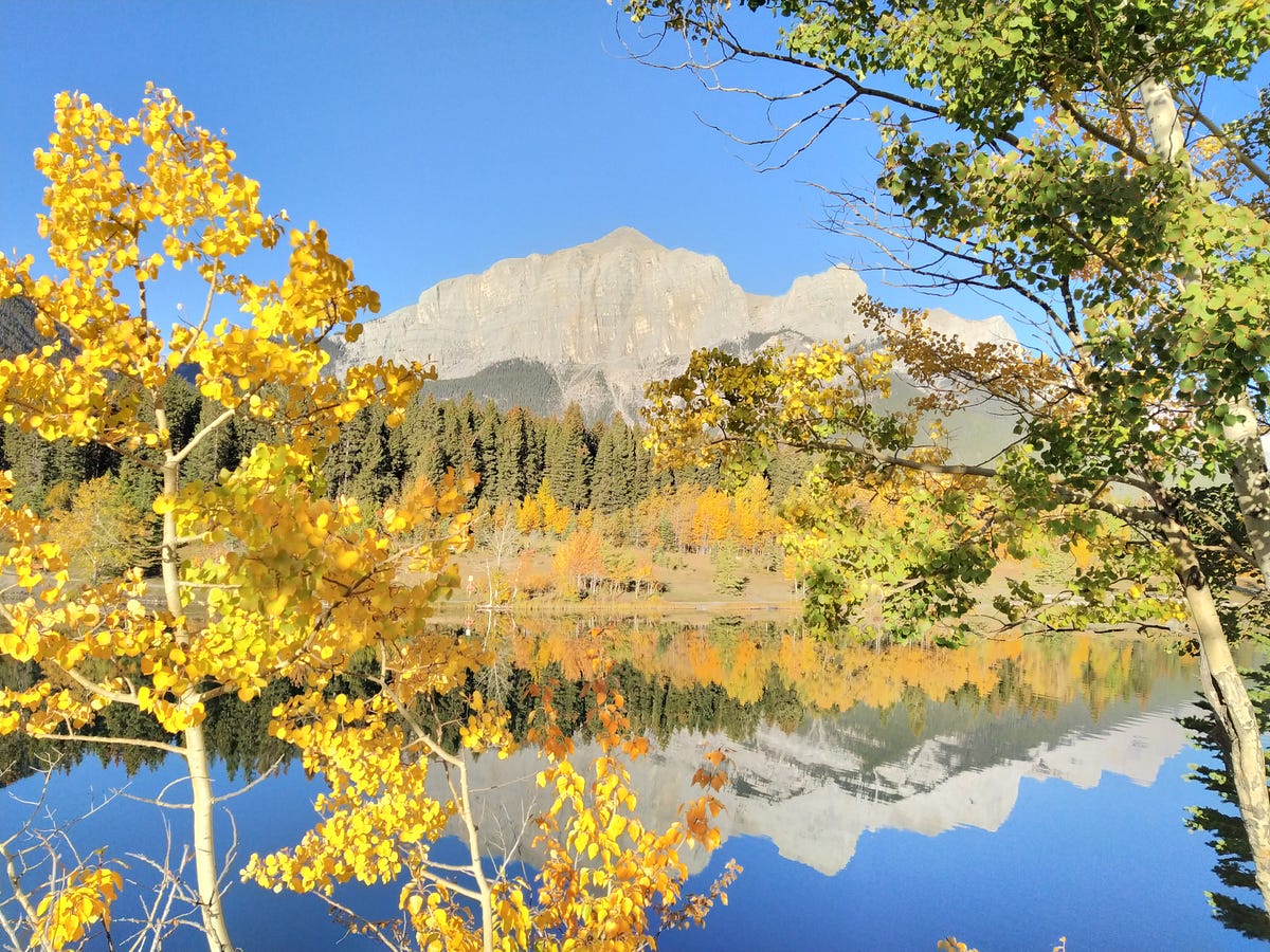 The Breathtaking Beauty of Banff in the Fall | by Kua Lina ...