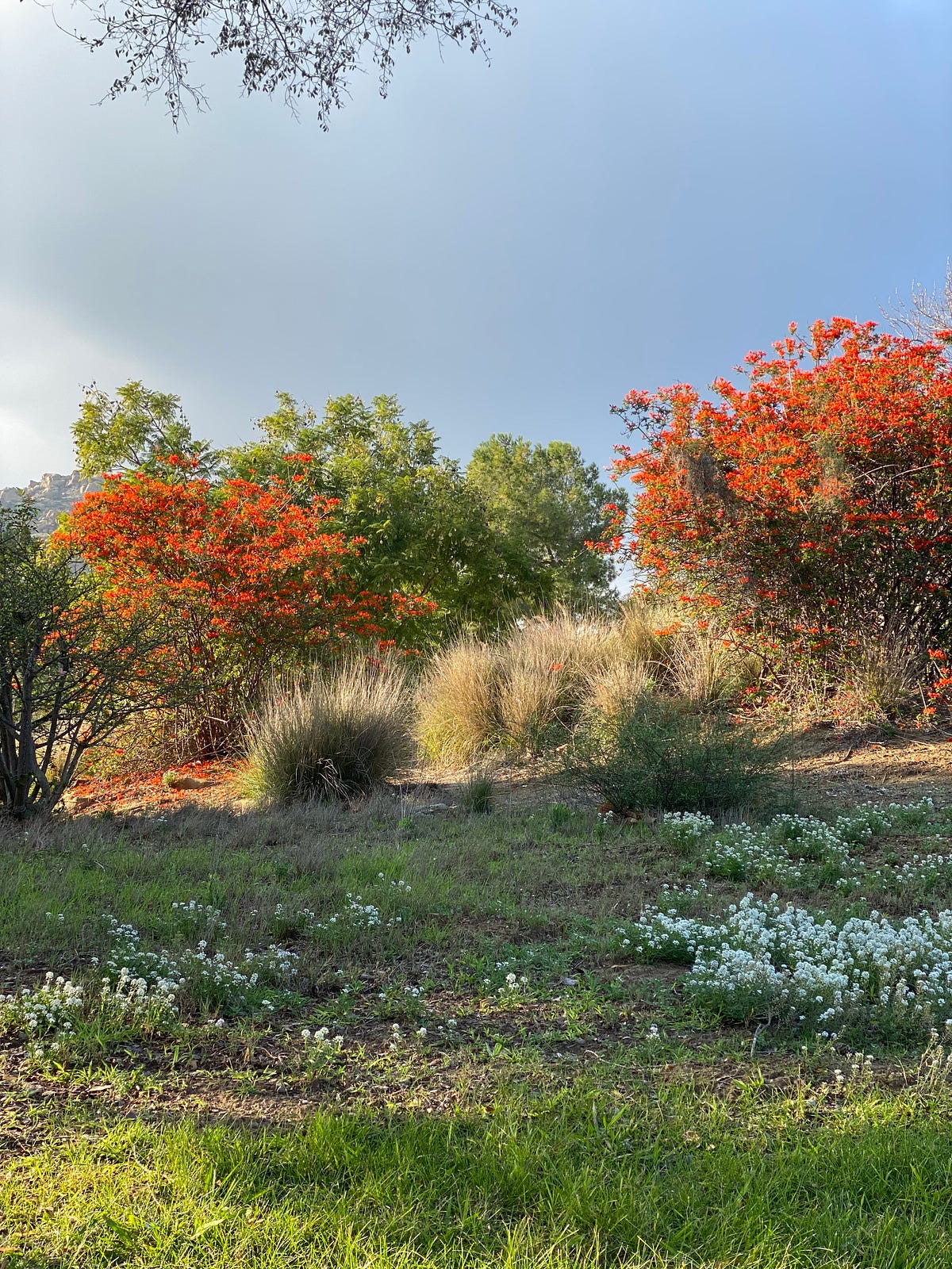 Razor Sharp- Poem 🪒. Cut like a Razor | by Lucia Fasano | Medium