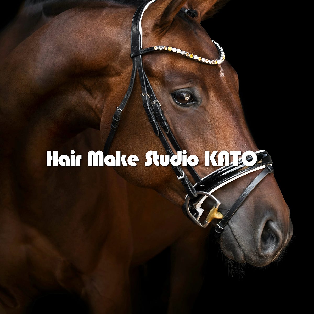 1月の営業カレンダー - Hair Make Studio KATO