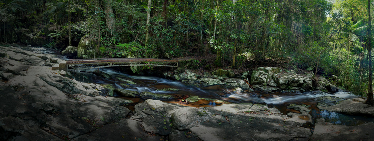 The Best Secret Walks And Hikes Around Brisbane | by Ash Hopping | Medium