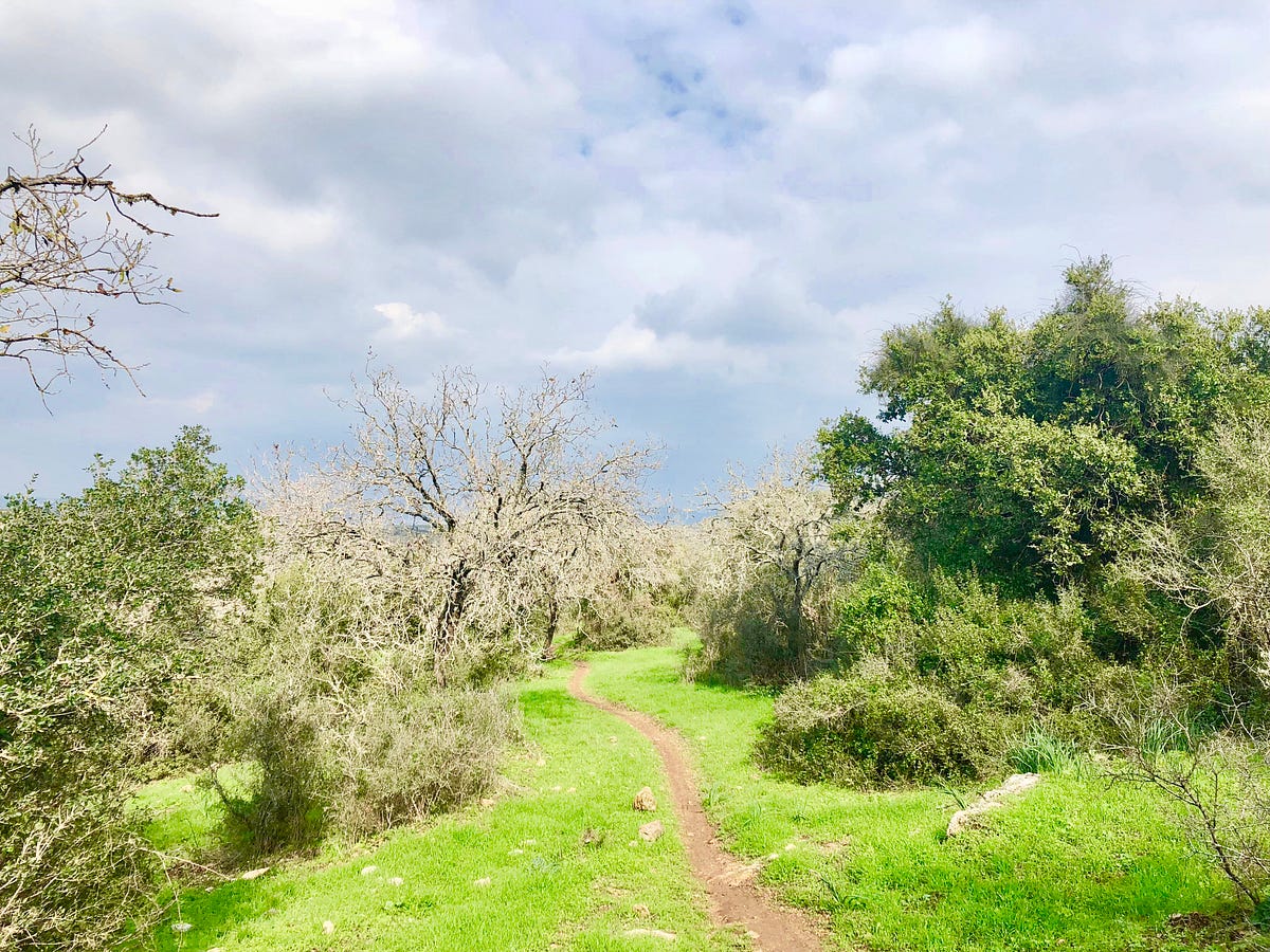 Goodbye 2018.. And yet if you were to ask me at the… | by Maya M ...