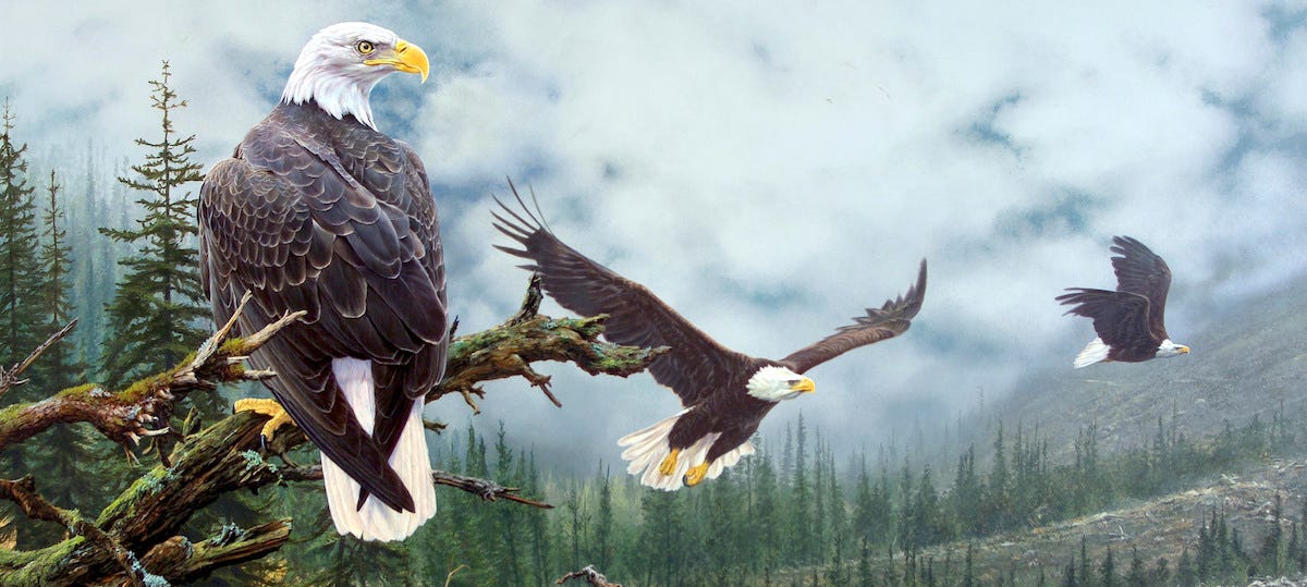“Guardians of the Sky: The Bald and Golden Eagle Protection Act’s Role ...