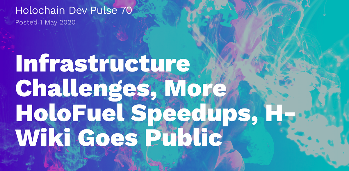 Infrastructure Challenges, More HoloFuel Speedups, H-Wiki Goes Public | by Holochain Design ...
