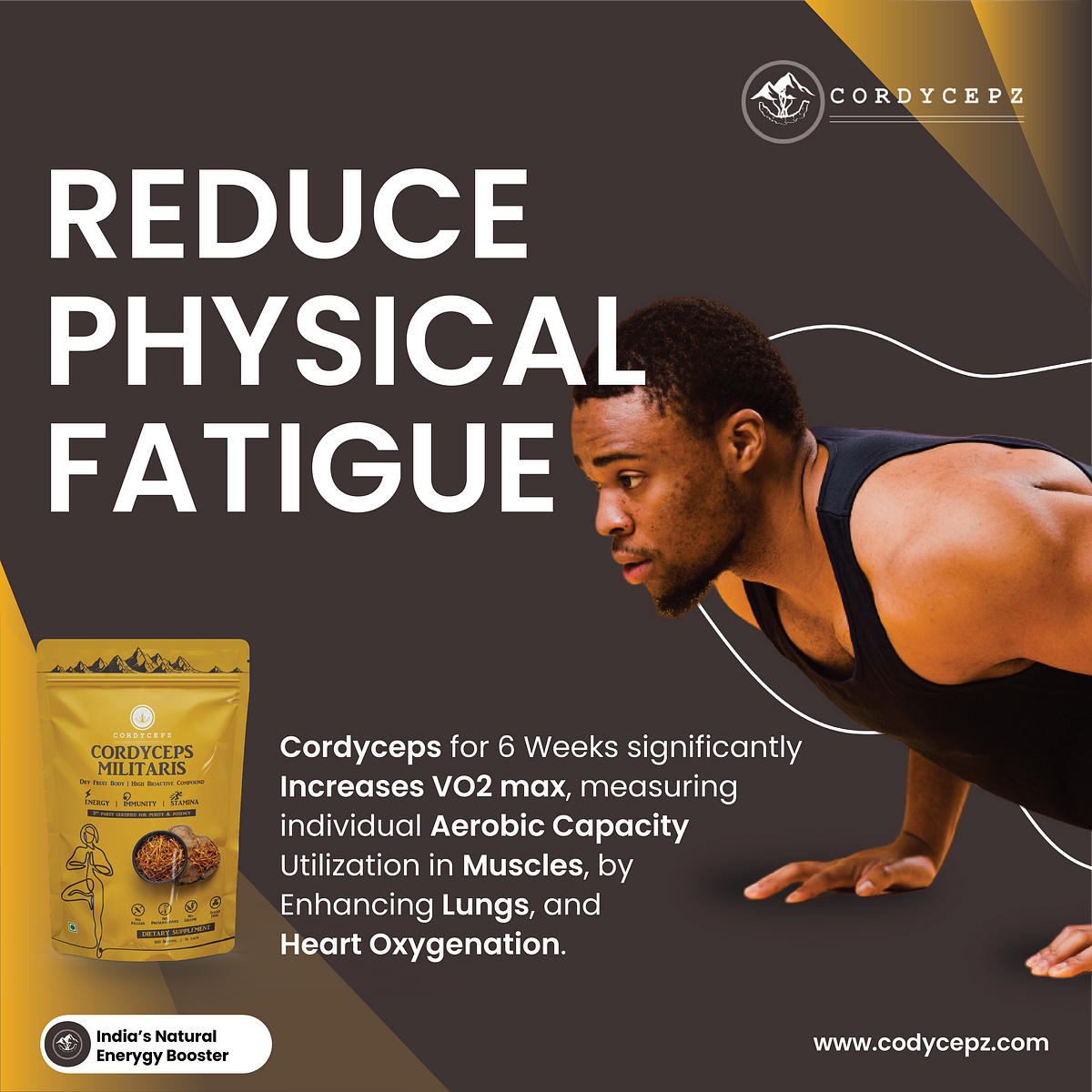 Reduce Physical Fatigue - Cordycepz - Medium Reduce Physical Fatigue - Cordycepz - Medium