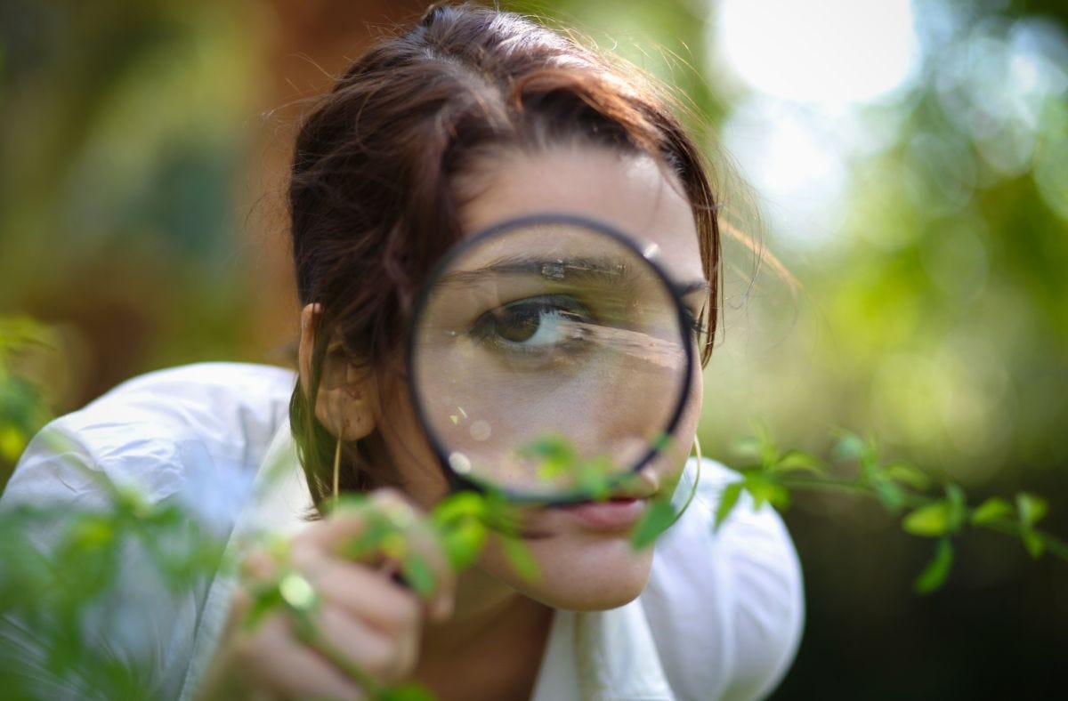 Curiosity Can Help Open Your Mind to What is Possible | by Lorna Harvey ...