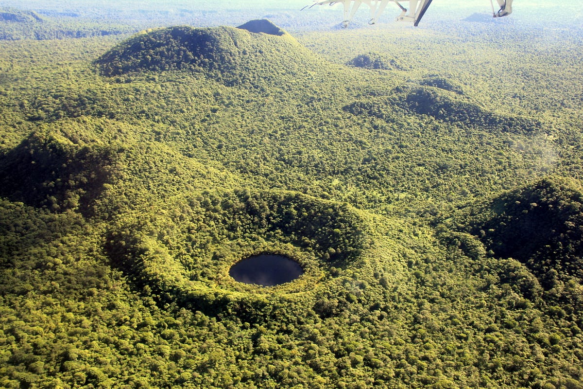 Management 101: Who to eat first when stranded in a forest? | by ...