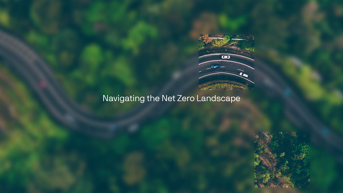 Navigating the Net Zero Landscape | by Sarah Levy | This is Altruistiq ...