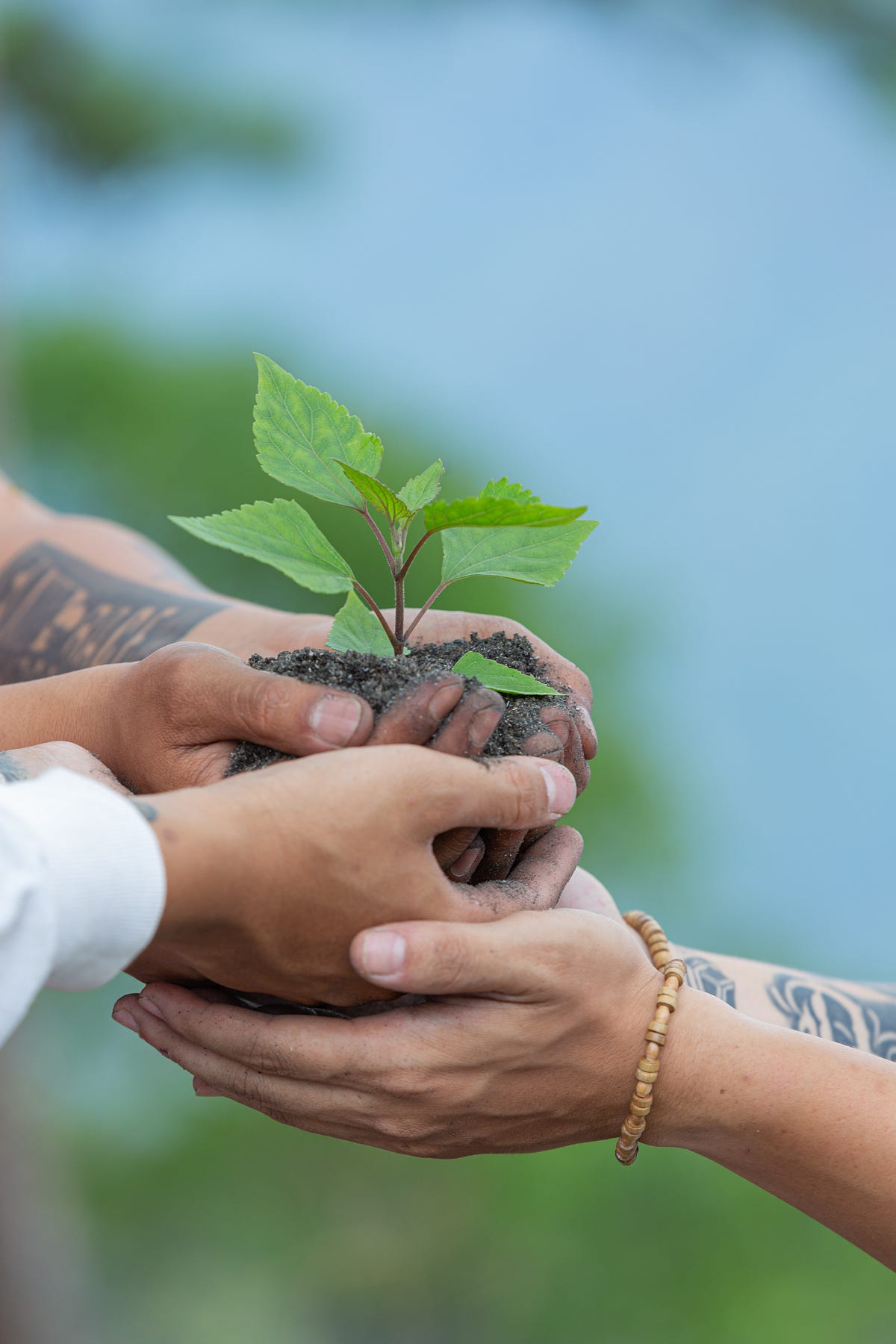 Try to Cultivate a Positive Environment | by Dr HARSHVARDHAN TRIVEDI ...