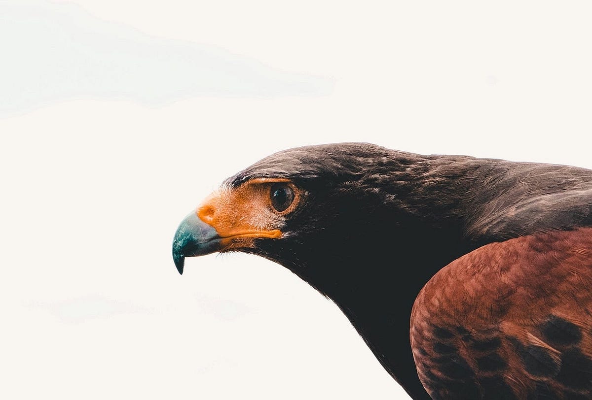 How to Remain Focus and Determined Without Distractions. | by Nathan ...