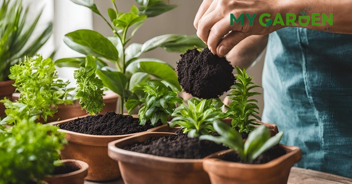 Best Homemade Plant Food: Nourish Your Indoor Plants Naturally 🌱 | by ...