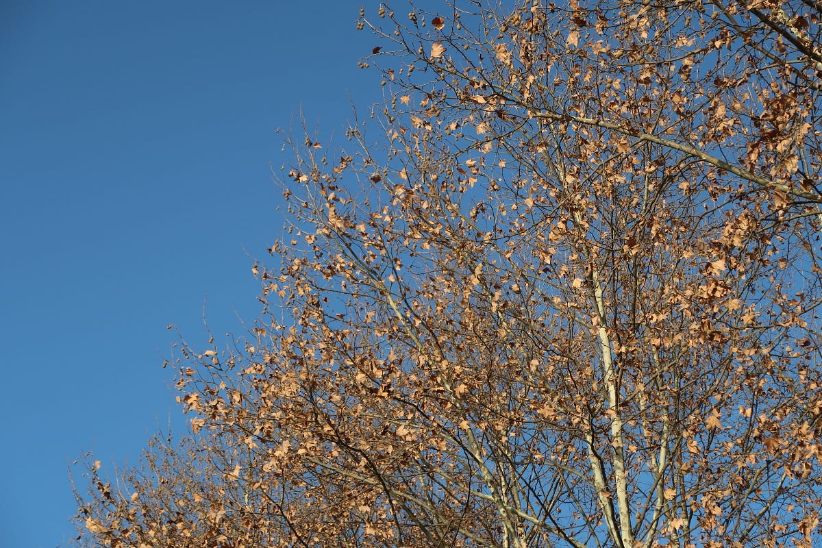 杭州 - Ziggy Zhu - Medium