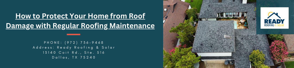 Top Tips for Protecting Your Dallas Home from Roof Damage with Regular Roofing Maintenance ...