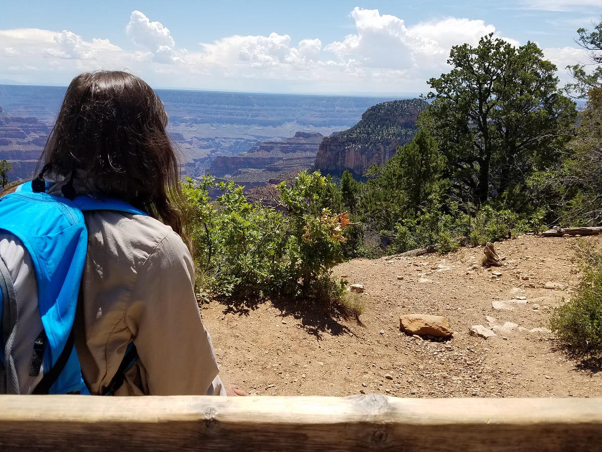 “Lions, Tigers, and Bears. Oh My” | by Jody-Lynn Reicher | Medium